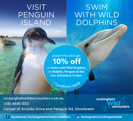 Parke-lite? | Fremantle Herald Interactive