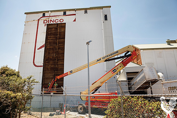 NEW DINGO | Fremantle Herald Interactive