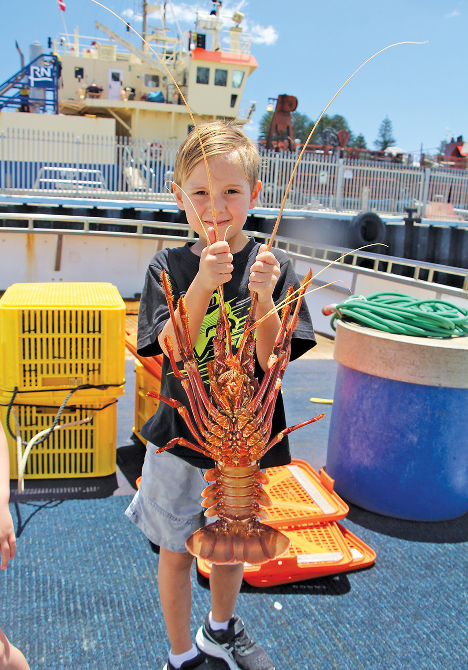Call to double boat cray sales | Fremantle Herald Interactive