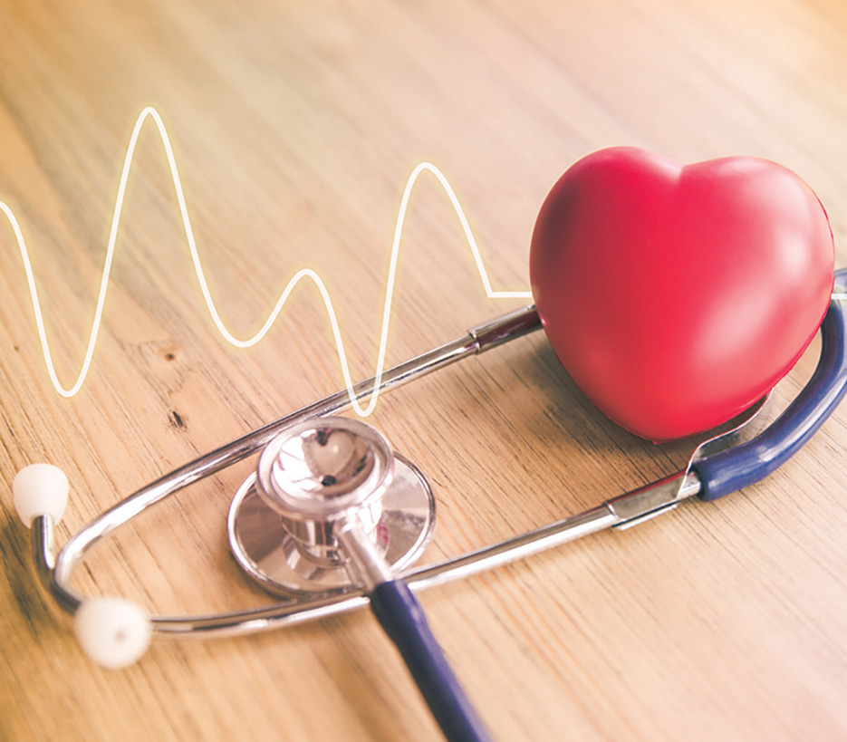 Red Feb | Fremantle Herald Interactive