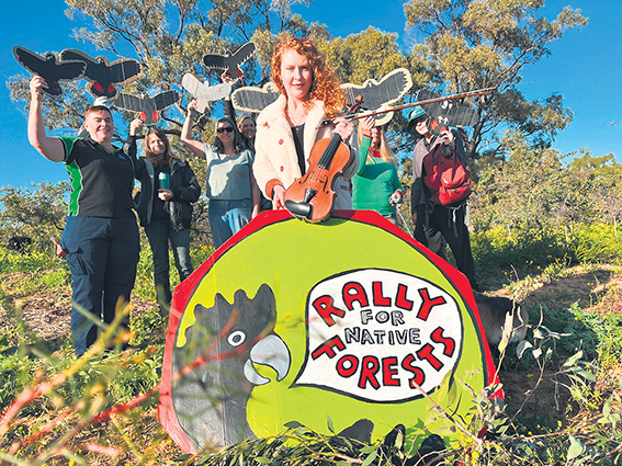 Rally for forests | Fremantle Herald Interactive