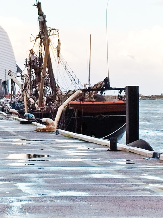 Leeuwin crash probes | Fremantle Herald Interactive
