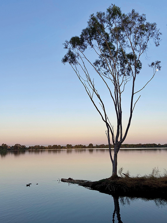 The path of truth and healing | Fremantle Herald Interactive