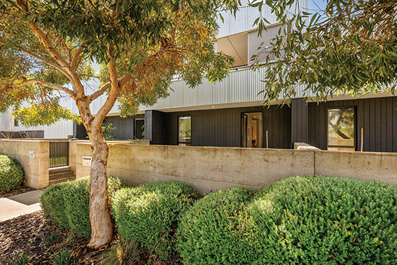 Fresh look | Fremantle Herald Interactive